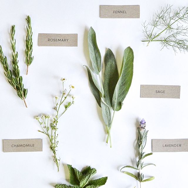 ? Our monthly newsletter hits inboxes this week, and it’s full of great ...